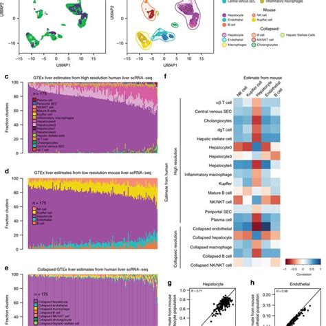 Cellular Deconvolution Of 28 Gtex Tissues A Umap Using The Expression