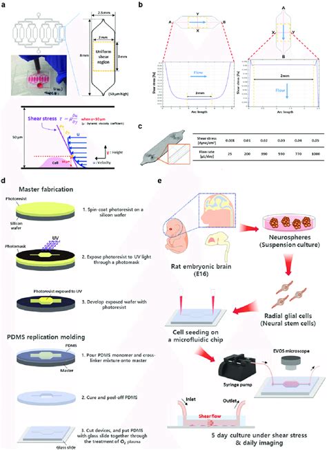 Microfluidic Chip Design Fabrication Computational Simulation And