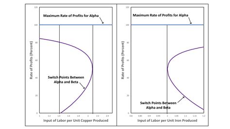 Thoughts On Economics A Reswitching Bifurcation Reflected