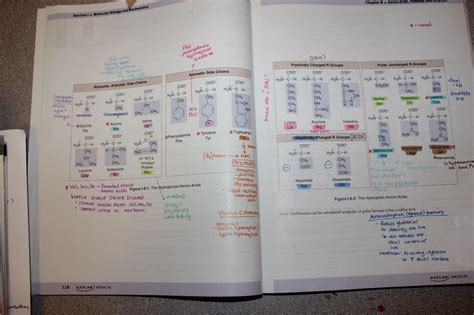 Usmle Notes