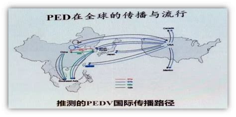哼哼会评 华中农业大学 李文涛 教授《猪流行性腹泻诊断技术》的汇报 湖南中净生物科技有限公司