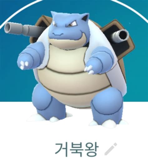 포켓몬고 메가 거북왕 졸업스킬 및 약점 이로치 정보공략