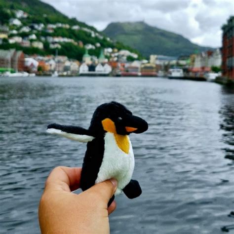 Идущий в неизвестность Youtube