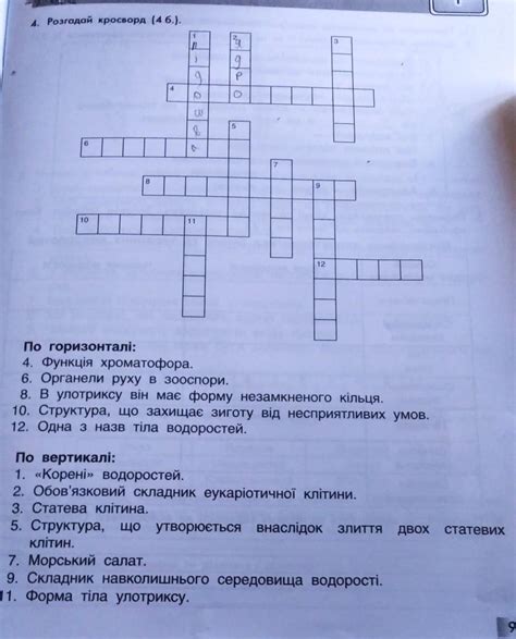 поможіть пж дам 30 B Школьные Знания Com