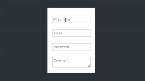 Float Label Pattern For Vuejs
