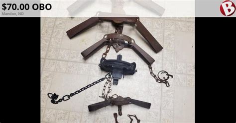 Assorted Traps Mandan Nd