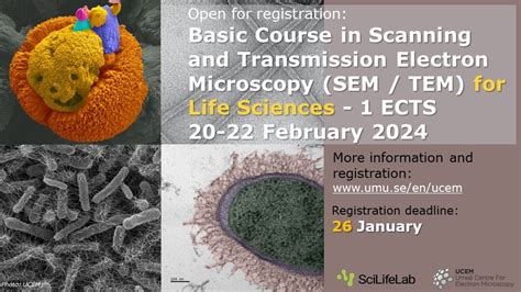 Basic Course In Scanning And Transmission Electron Microscopy For Life
