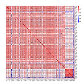 The Pearson Correlation Analysis Heatmap Of Normalized Expression Data