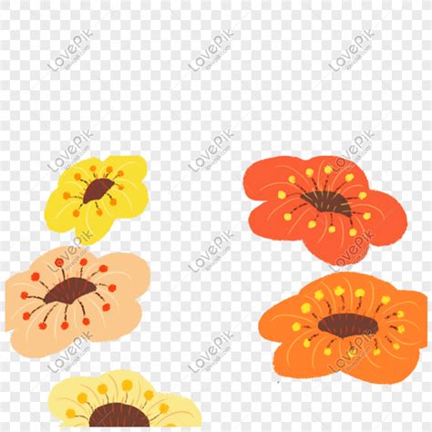 손으로 그린 벡터 아름 다운 꽃 Png 일러스트 무료 다운로드 Lovepik