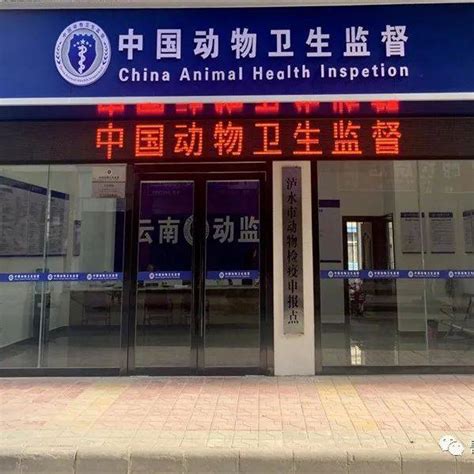 动物防疫监督管理执法主要职责是什么 国药动保 监督机构 工作 检疫