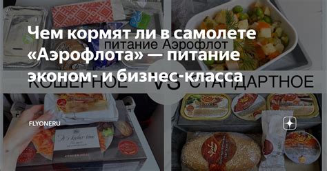 Чем кормят ли в самолете «Аэрофлота» — питание эконом- и бизнес-класса ...
