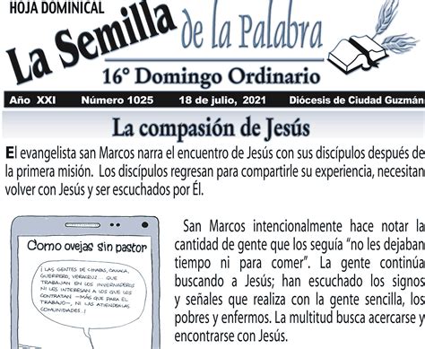 Semilla Dominical Domingo 18 De Julio De 2021 El Puente