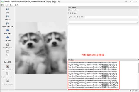 猫狗分类识别【建立模型】①数据标记猫狗数据集及标注 Csdn博客