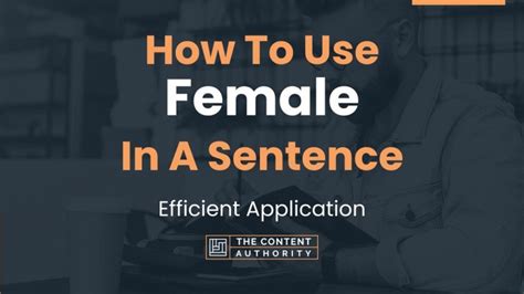 How To Use Female In A Sentence Efficient Application