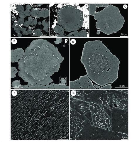 Bse Images Showing The Appearance Of Magnetite Mt With Inclusions Of Download Scientific