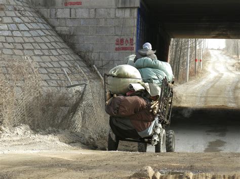 什么路子来钱快，现在身无分文，只要不违法都可以做的