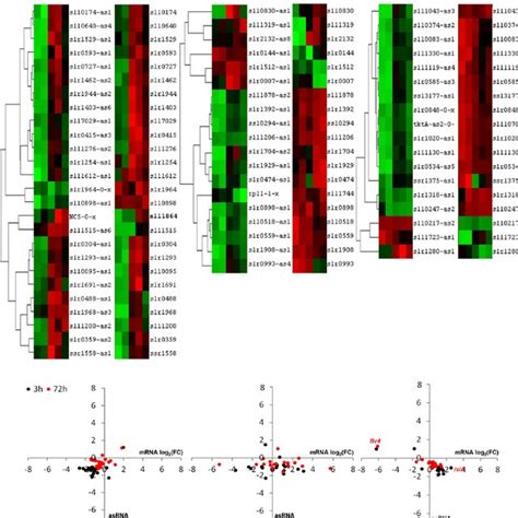 Classi Fi Cation Of Asrna Mrna Pairs Based On Their Expression