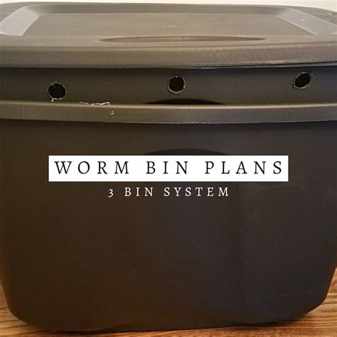 Worm Bin Etsy