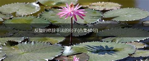 反复的修辞手法的句子 合集40句