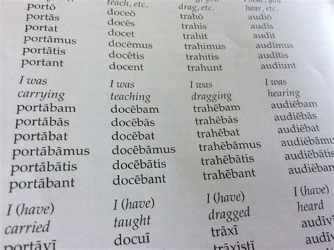 An Amount Of Verbs In Catalan Flashcards Quizlet