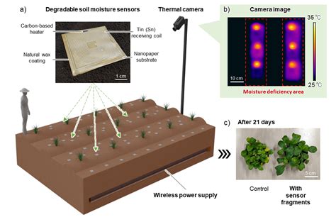 Sustainable Smart Agriculture With A Biodegradable Soil Moisture Sensor Asia Research News