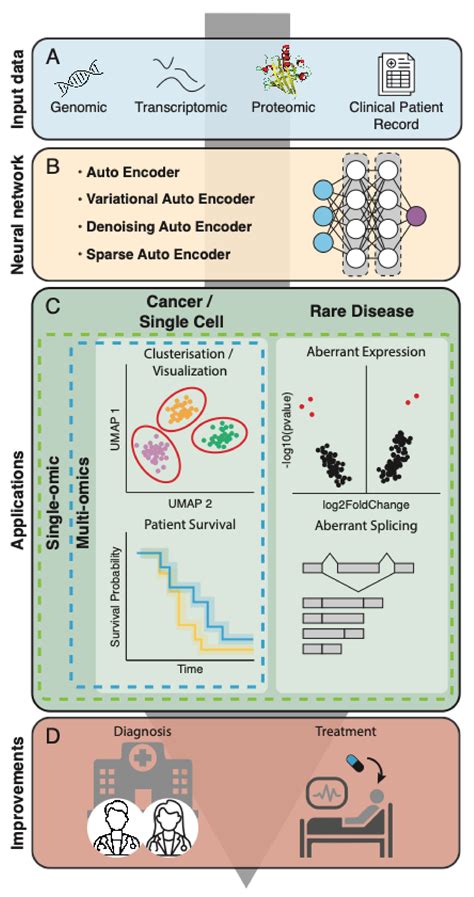 A Survey Of Autoencoder Algorithms To Pave The Diagnosis Of Rare Diseases