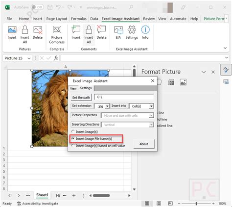Excel Image Assistant Coupon Codes And Discount