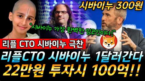 시바이누 코인 리플 최고기술 관리자 시바이누 긴급매수 가장 완벽한 밈코인이다 100억 부자를 향한 도약 비트