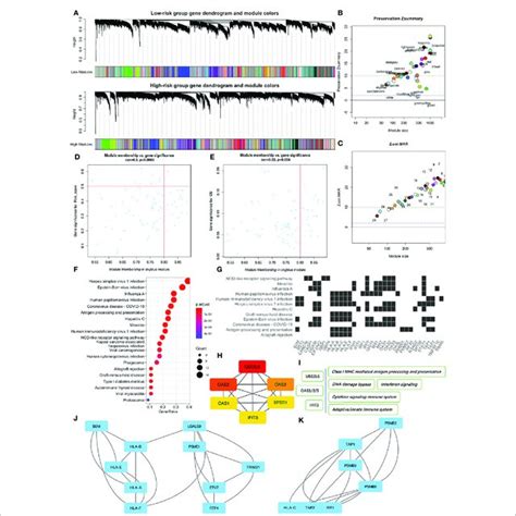 Somatic Mutation Features Between Subgroups In The Tcga Paad Dataset Download Scientific