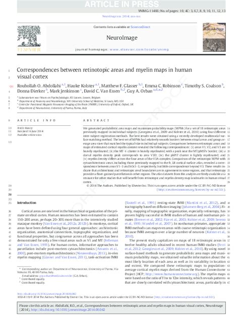 Pdf Correspondences Between Retinotopic Areas And Myelin Maps In Human Visual Cortex