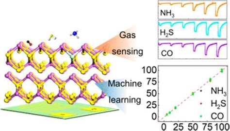 用于选择性检测食品腐败气体的卤酸改性 Bi2s3 纳米棒阵列 Acs Applied Nano Materials X Mol