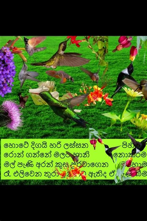 සොබාදමෛ් අපූරුව නිසදැස් කවි Sinhala Nisadas Youtube