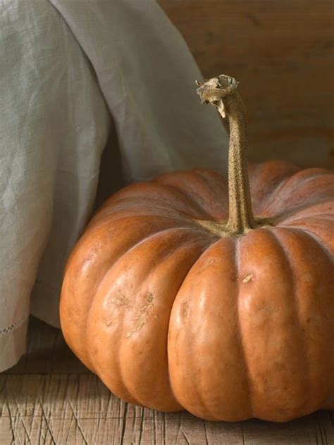 Pumpkin Seeds Soaking And Drying Artofit