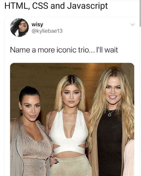 Who Are They I Only Know Html Css And Javascript