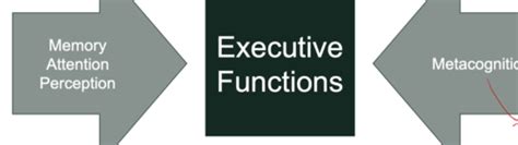 Executive Functions Flashcards Quizlet