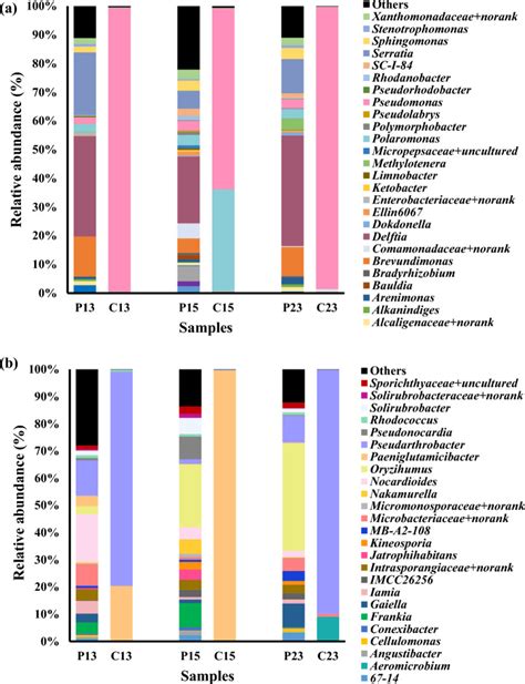 Pseudomonas And Pseudarthrobacter Are The Key Players In Synergistic Phenanthrene Biodegradation