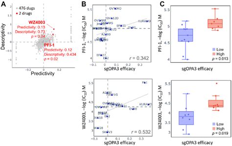 Drug Sensitivity And Cytotoxicity Analysis In Ovarian Cancer Cells A Download Scientific