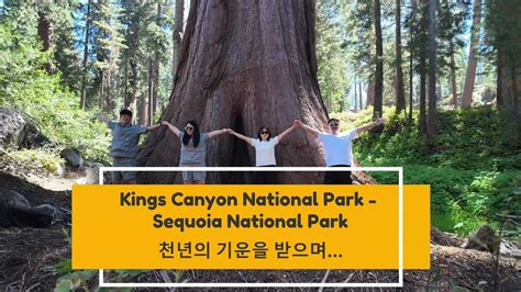 미서부자유여행 4일차킹스캐년 And 세콰이어캐년 미서부자유여행 미서부여행 미서부렌터카여행 킹스캐년 세콰이어캐년 데스