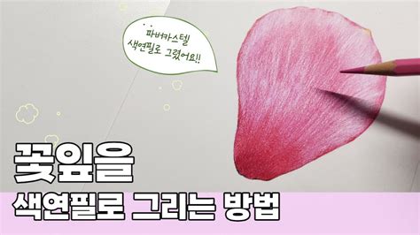 차근차근 꽃잎 그리는 방법 색연필 기초 How to draw petals step by step YouTube