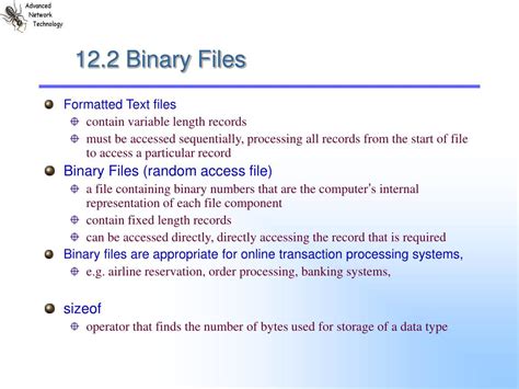Ppt Text And Binary File Processing Powerpoint Presentation Free Download Id4608039