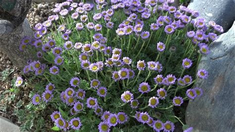 마음을 비우고 바라보는 세상 Youtube