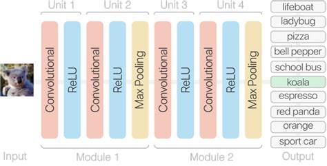 Cnn Explainer Learning Convolutional Neural Networks With Interactive