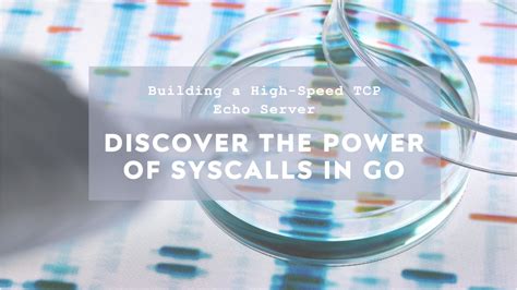 Exploring Syscalls In Go Building A High Speed Tcp Echo Server