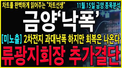 금양 주가 전망 긴급 2차전지 과대낙폭 지금 류광지회장의 추가결단이 필요한 시점 11월 25일 Msci 패시브 이탈 후