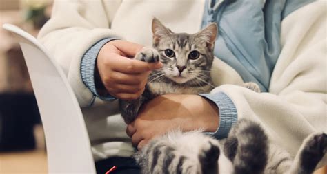 Devops For Healthcare Benefits Of Implementing Devops In Healthcare