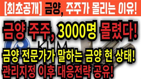 금양 주가전망 금양 주주 3천명이 몰린 이유 전격공개 금양 금양주가전망 Youtube