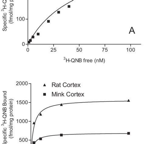 Saturation Binding Curve For Specific 3 H Qnb Binding To The Mach