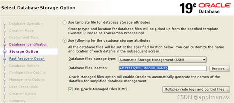 oracle linux 8环境下，安装和配置grid restart和database 19c软件 linux grid csdn博客