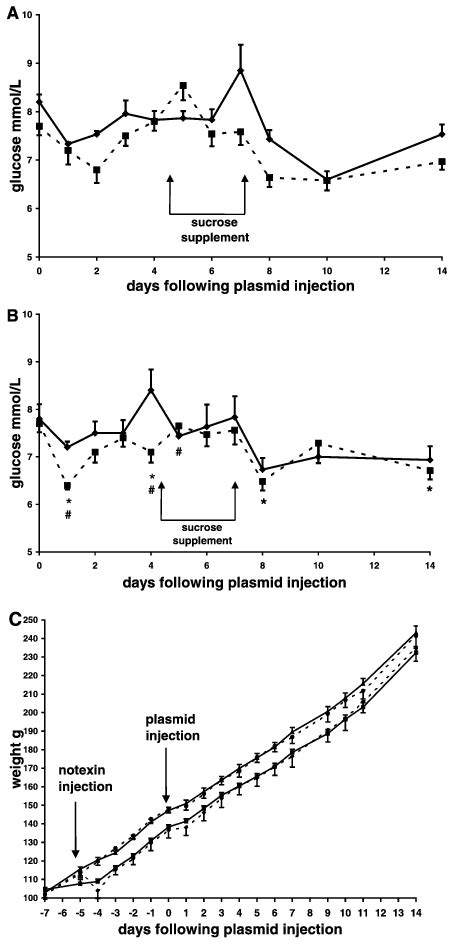 Effect Of Insulin Plasmidnotexin Injection On Glucose Homeostasis And