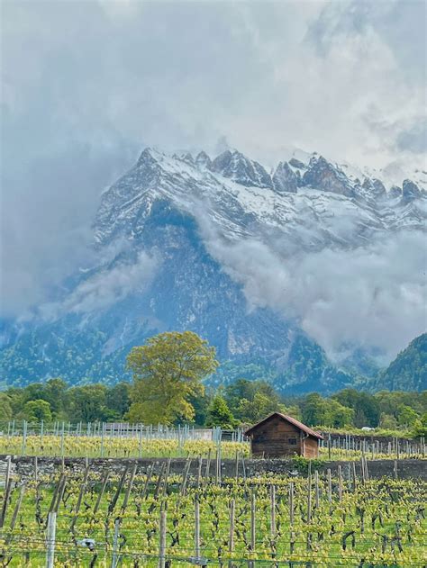 02화 순간의 스위스 1 하이디 마을 마이엔펠트